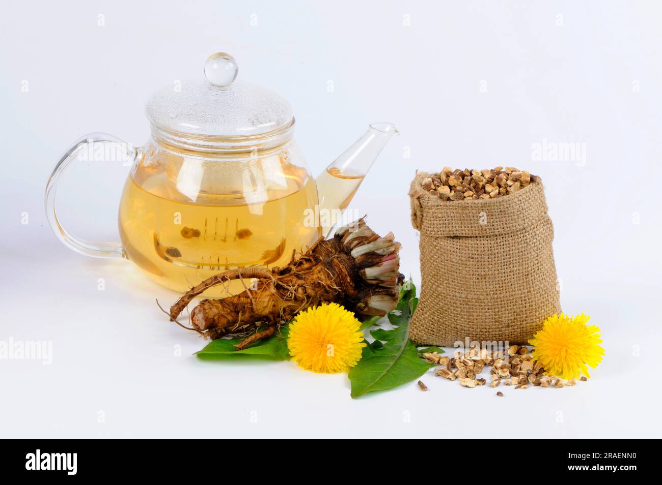 Dandelion tea (Taraxacum officinale) flowers and root, dandelion tea ...