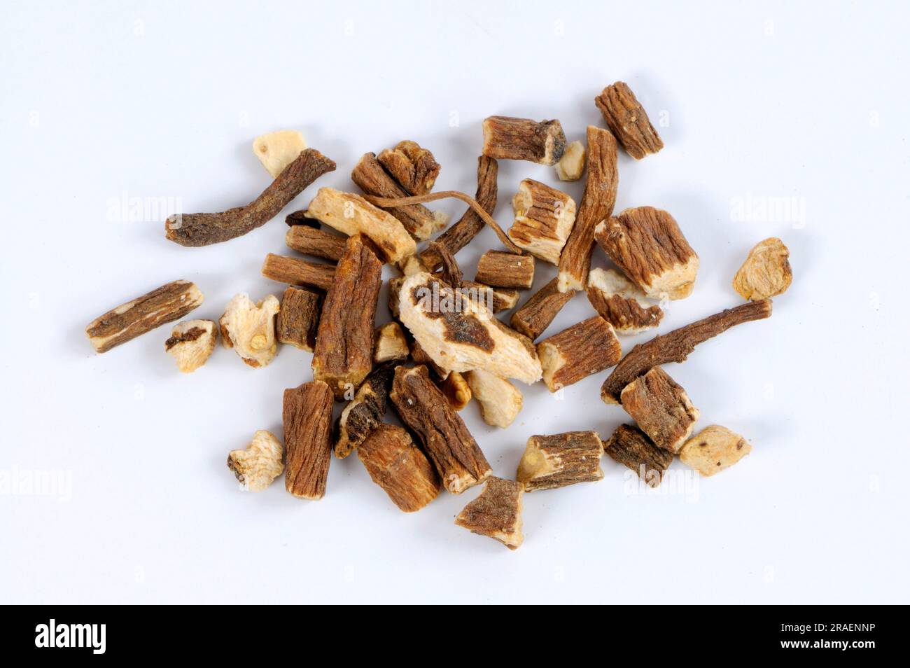 Dandelion (Taraxacum officinale), dried root, cut out, object Stock ...