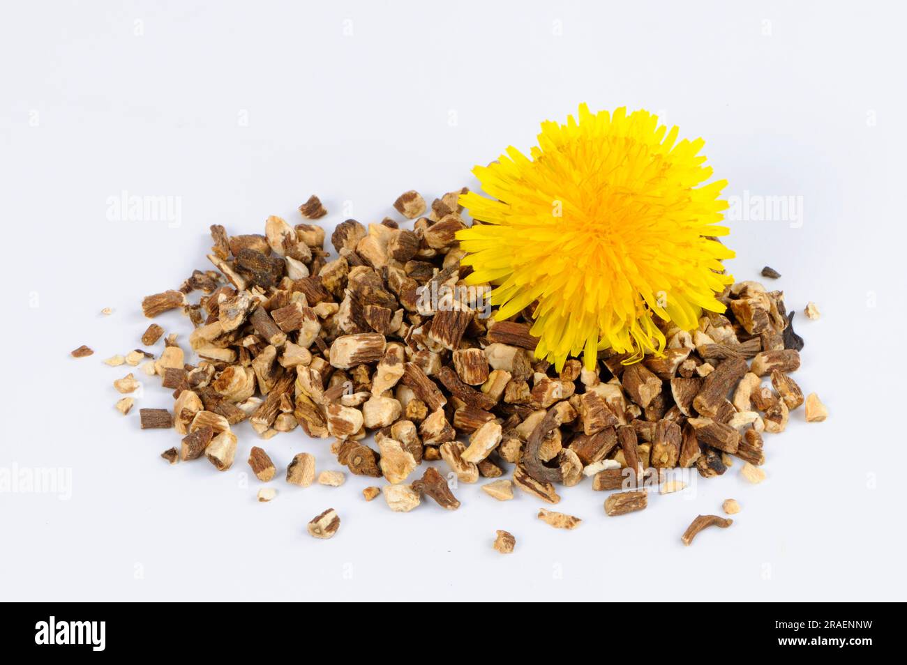 Dandelion (Taraxacum officinale), dried root, cut out, object Stock ...