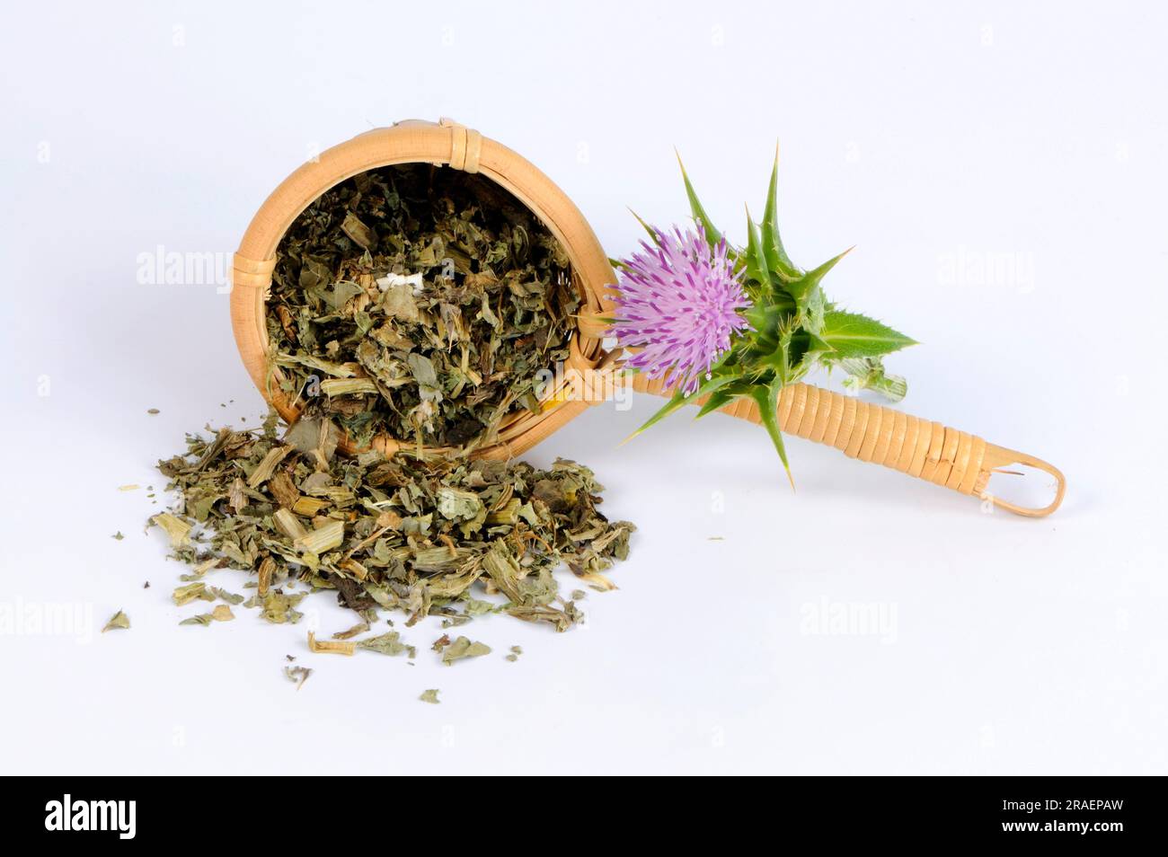 Carduus marianus (Silybum marianum), dried (Carduus marianus), free ...