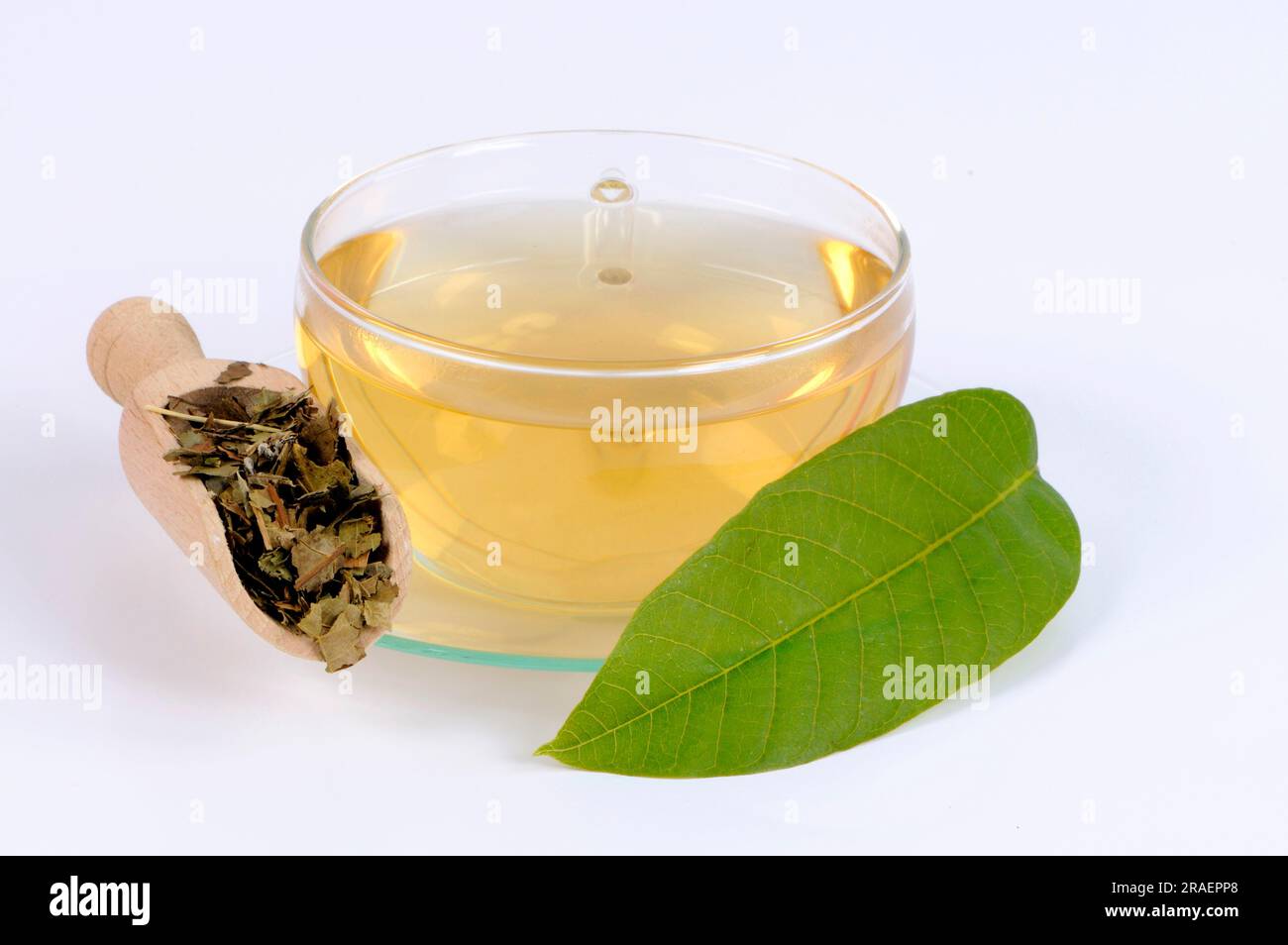 Walnut leaf tea hi-res stock photography and images - Alamy