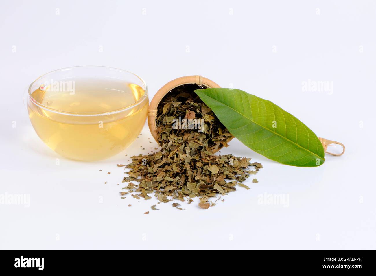 Cup of walnut leaf tea (Juglans regia), walnut, walnut leaf tea, walnut ...