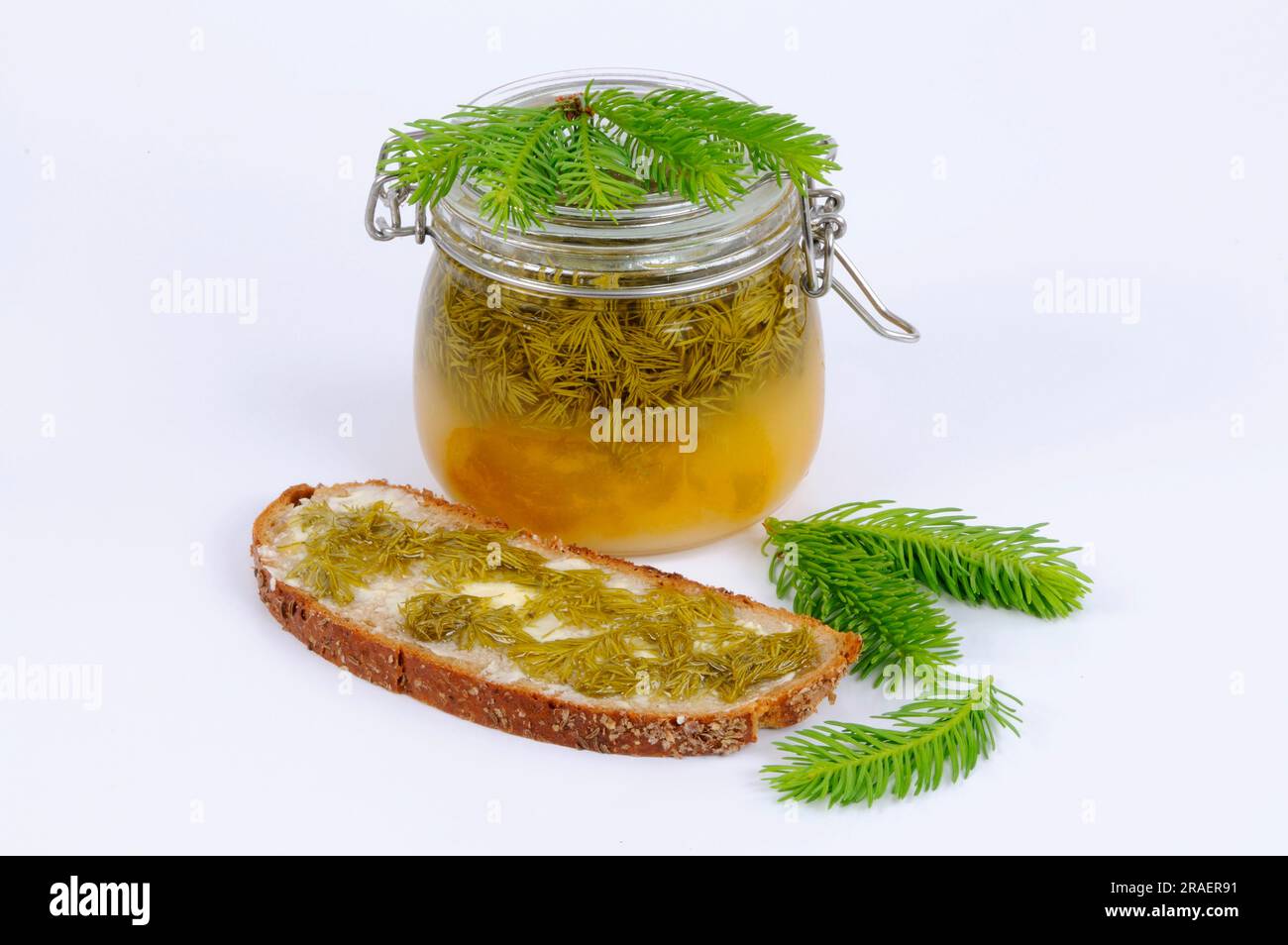 Slice of bread and jar of spruce lace honey, honey, common spruce ...
