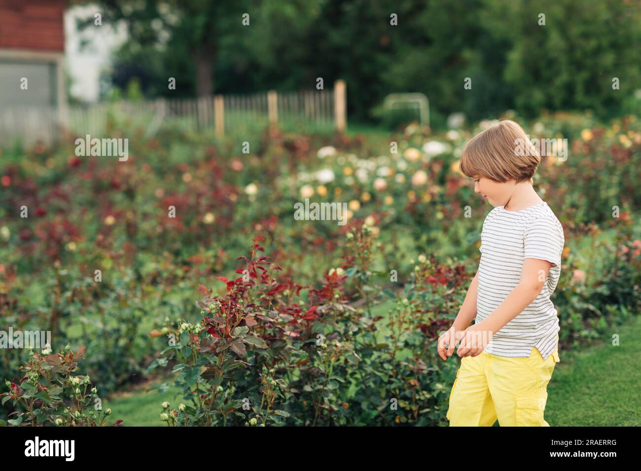 Son cute hi-res stock photography and images - Alamy