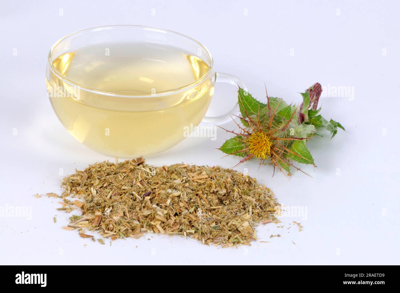 Cup benedictus tea, benedictus thistle, dried, benedictus herb (Cnicus ...