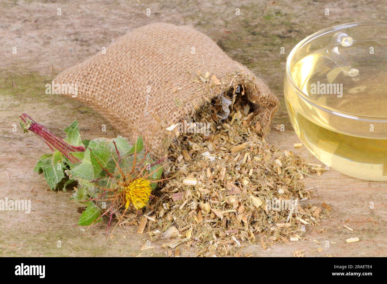 Saint benedicts thistle hi-res stock photography and images - Alamy