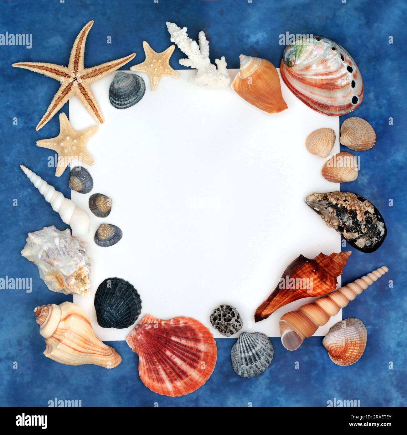 Seashell design abstract background border on mottled blue. Decorative ...