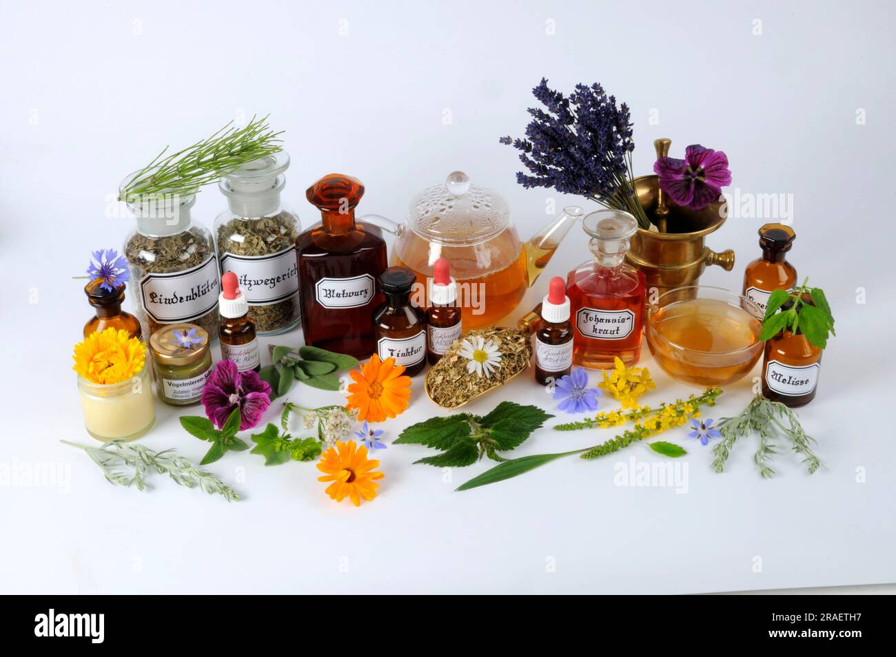 Herbal tea, with marigold, chicory, agrimony, peppermint, lady's mantle ...