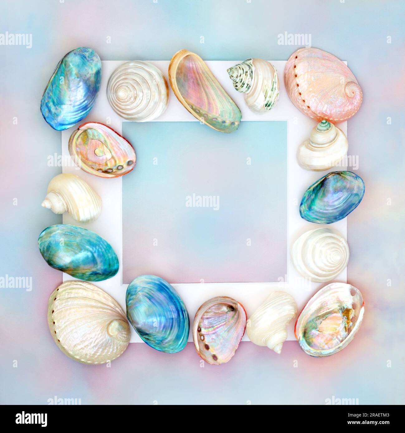 Mother of pearl and natural seashell border decoration on rainbow sky ...