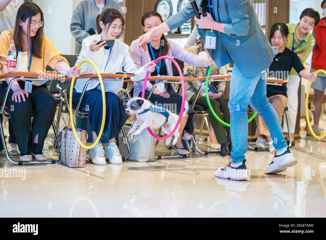 Companions of humans hi-res stock photography and images - Alamy