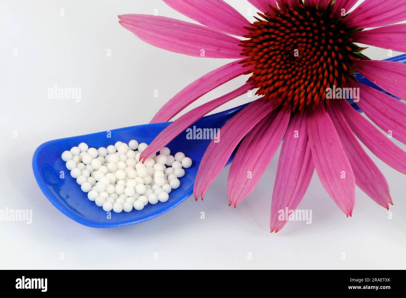 Homeopathy globules flower hi-res stock photography and images - Alamy