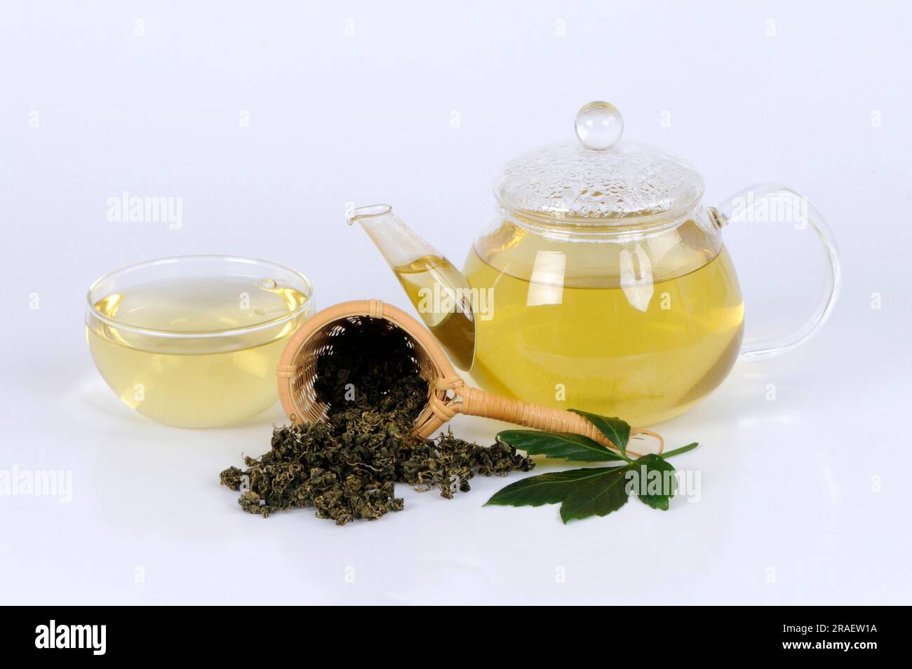 Cup and pot of Jiao-gu-lan tea, Jiaogulan, female ginseng, immortality ...