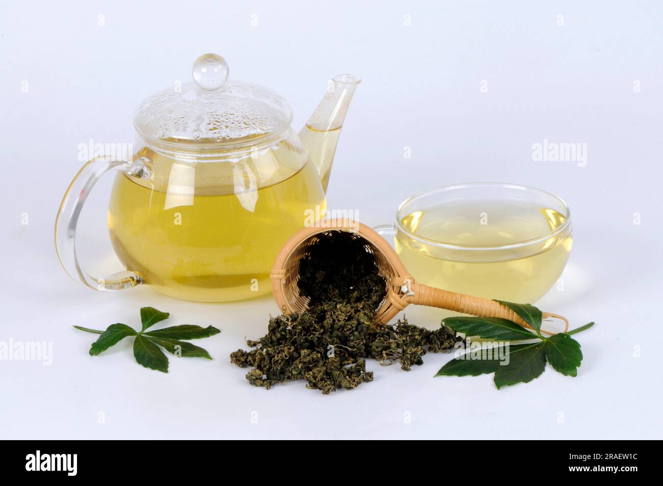 Cup and pot of Jiao-gu-lan tea, Jiaogulan, female ginseng, immortality ...