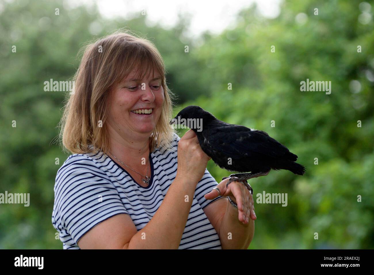 Woman with crow (Corvus corone corone), branchling, crow, crow ...