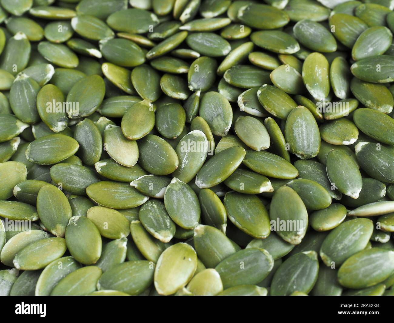 Pumpkin seeds close-up in full screen. Peeled pumpkin seeds without ...