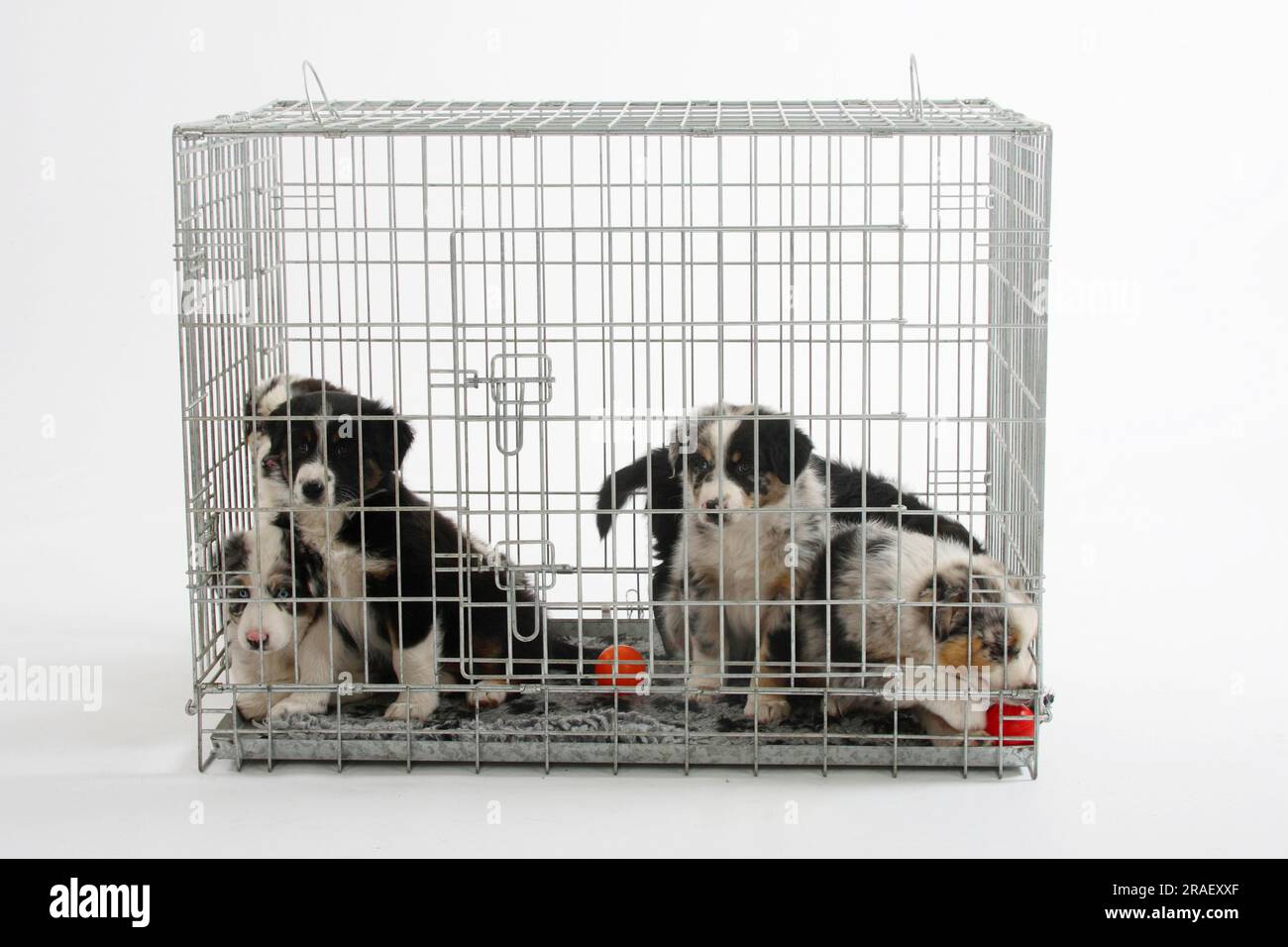 Cage box hi-res stock photography and images - Alamy