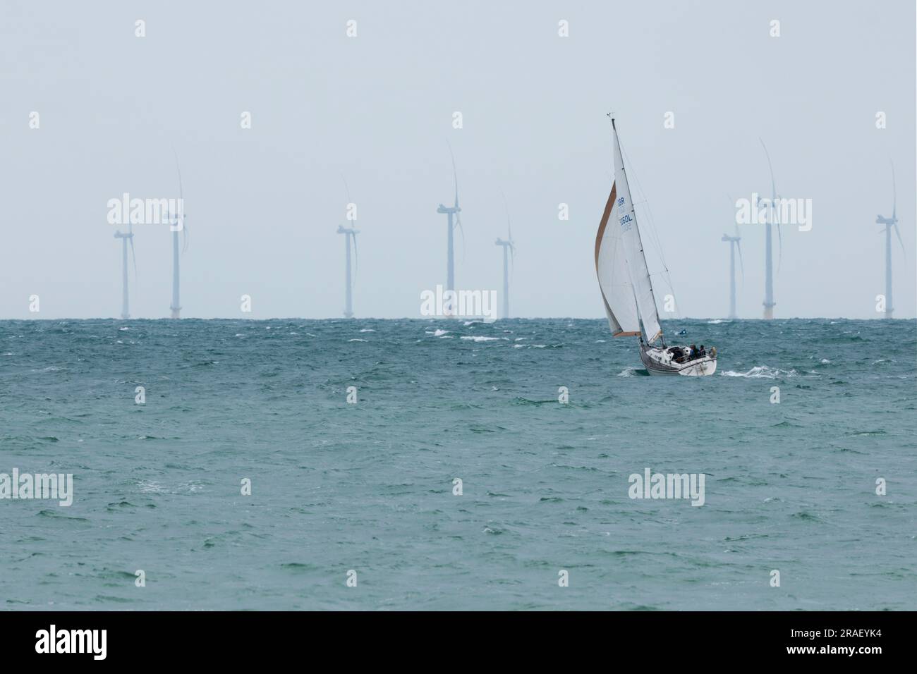 Wind power at sea, sailing yacht heading towards wind turbines ...