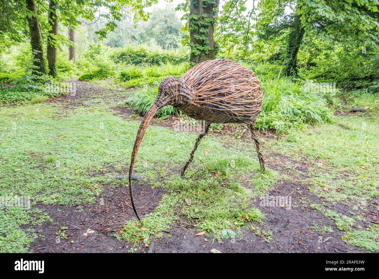Statue or woven structure of a Curlew Bird at Cong Abbey in Ireland ...