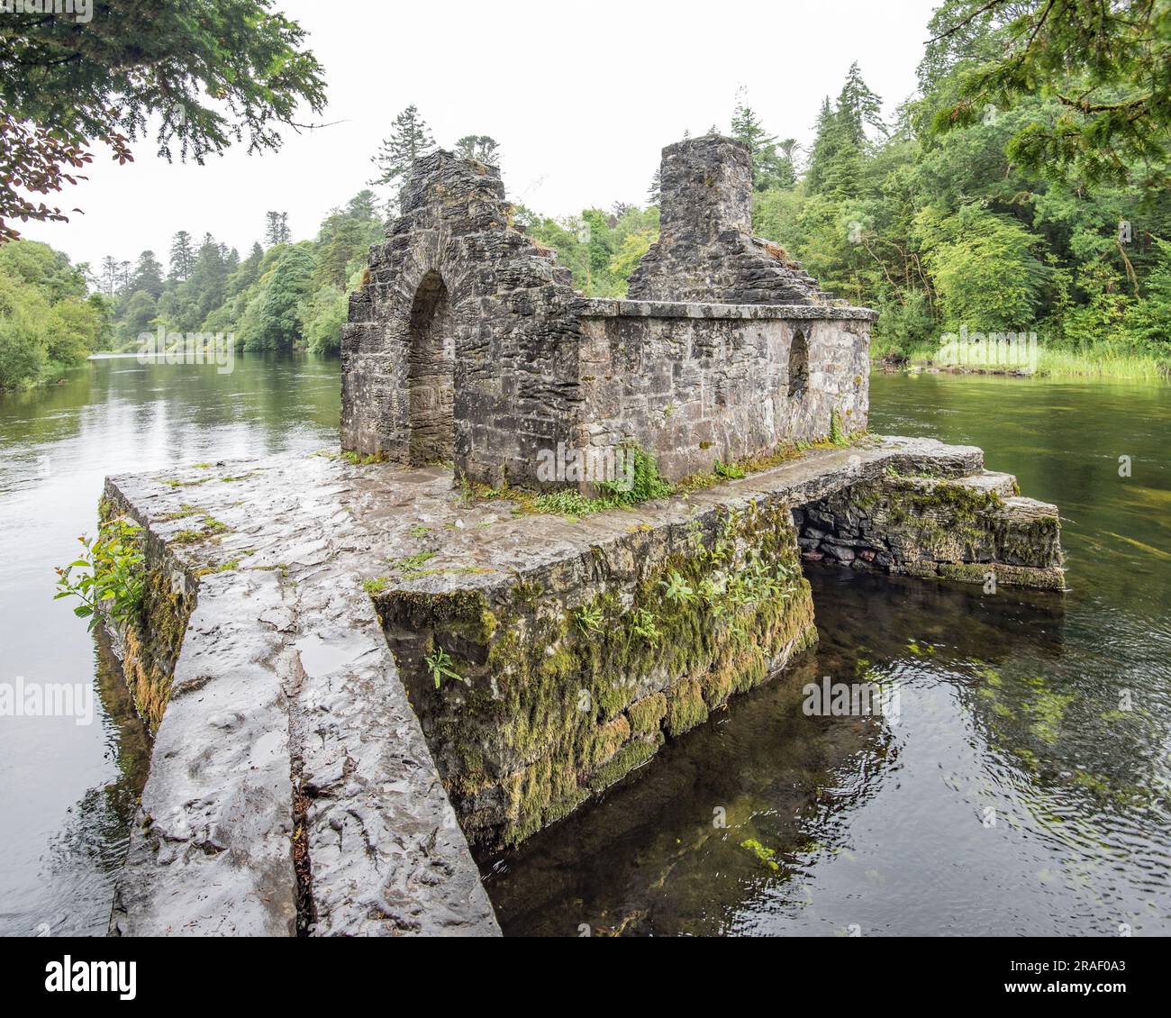 A walk on the Ashford Estate in Cong, County Mayo,Ireland Stock Photo ...