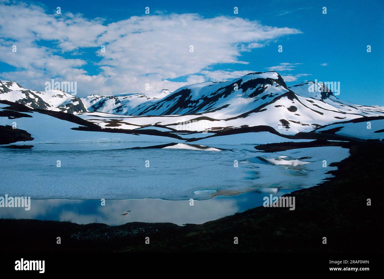 Hardangervidda national park hi-res stock photography and images - Alamy