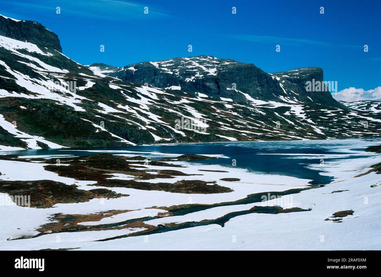 Hardangervidda national park hi-res stock photography and images - Alamy