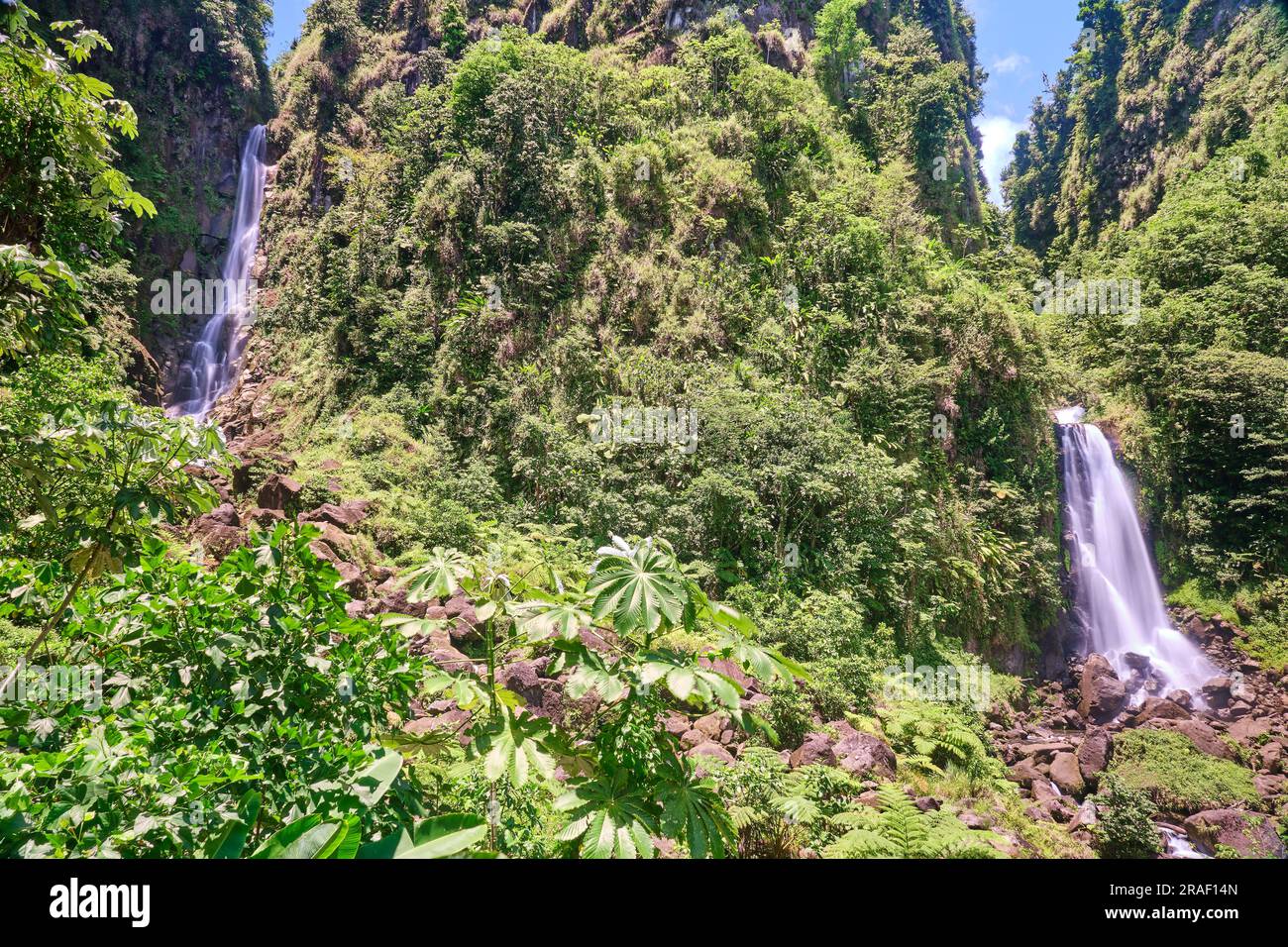 Surrounded by lush green foliage, the twin Trafalgar falls in the ...