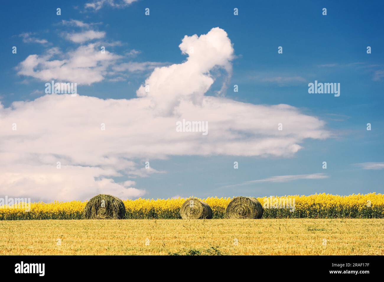 Beautiful view village haystacks hi-res stock photography and images ...