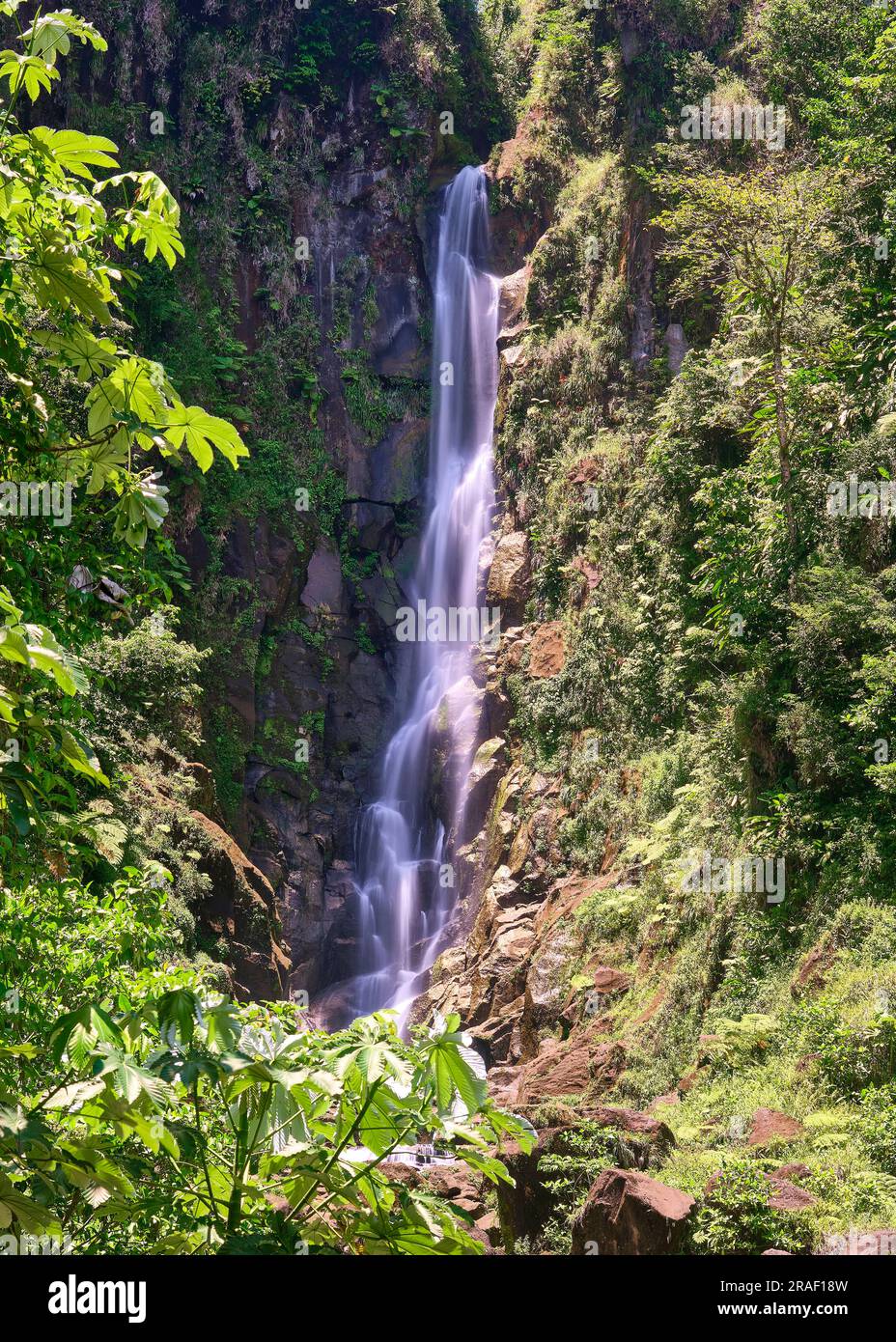 Caribbean Islands With Waterfalls Y S Falls On The Caribbean Island Of