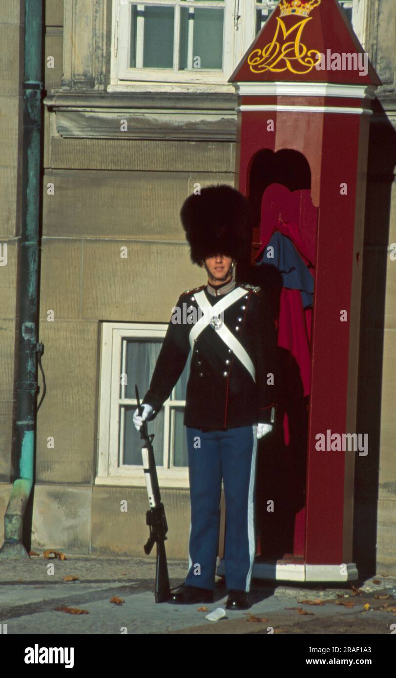 Royal Life Guard standing sentry at the Amalienborg Palace Copenhagen ...