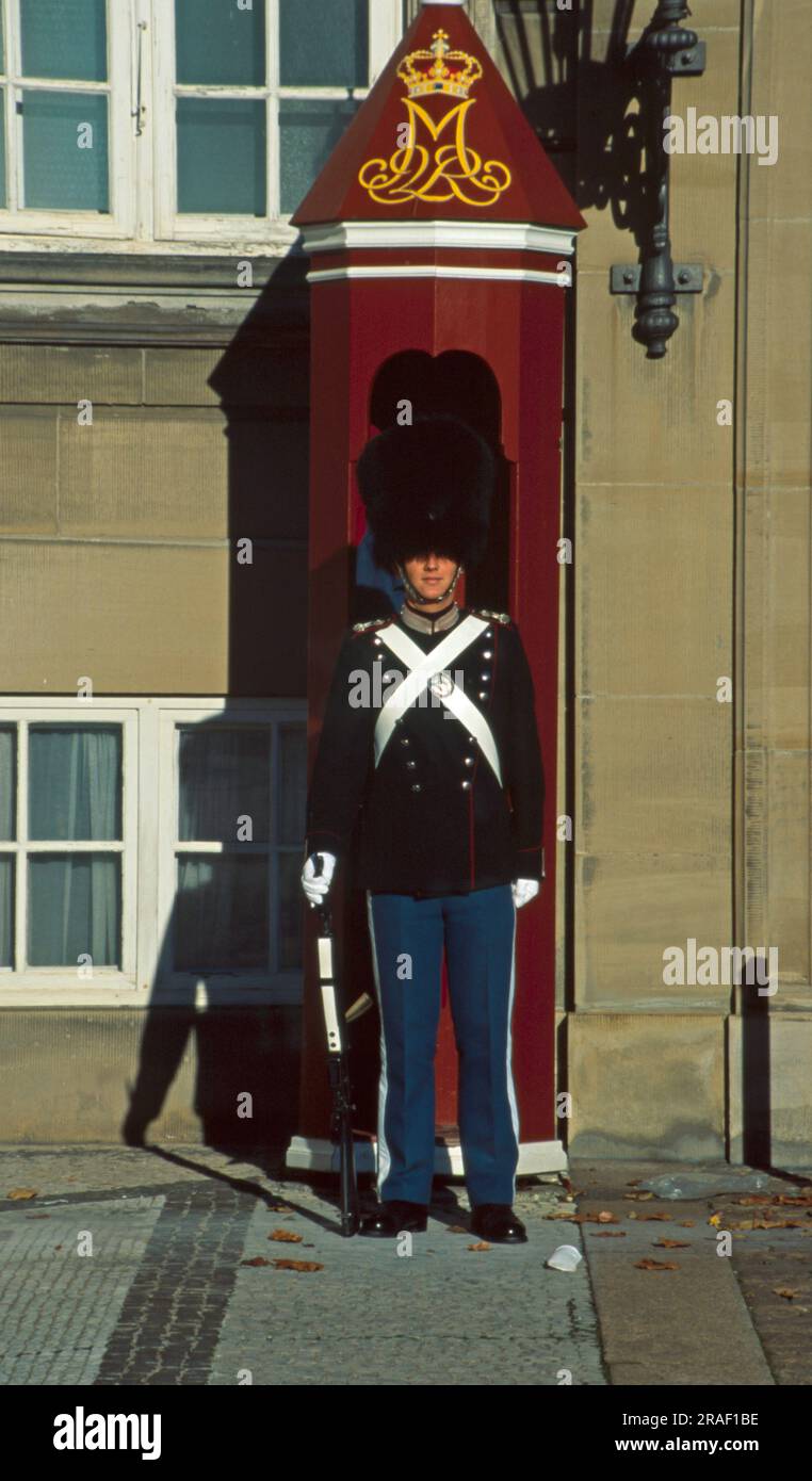 Royal Life Guard standing sentry at the Amalienborg Palace Copenhagen ...