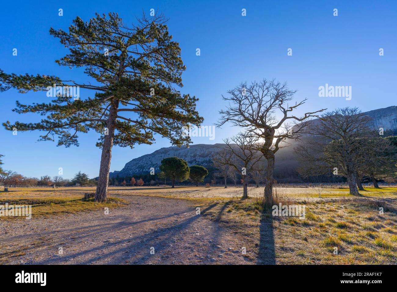 Plan-d'Aups-Sainte-Baume, Provence-Alpes-Côte d'Azur, France Stock ...
