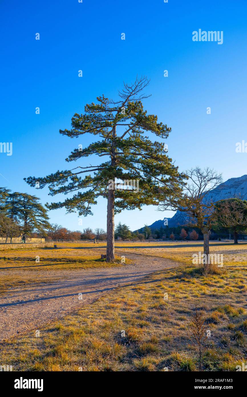 Plan-d'Aups-Sainte-Baume, Provence-Alpes-Côte d'Azur, France Stock ...