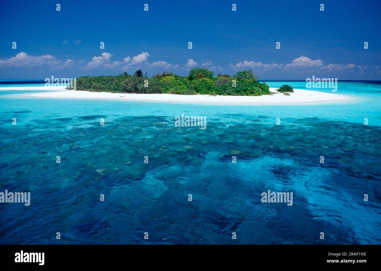 Tropical Island, Coral Island, Meemu Atoll, Maldives Stock Photo - Alamy