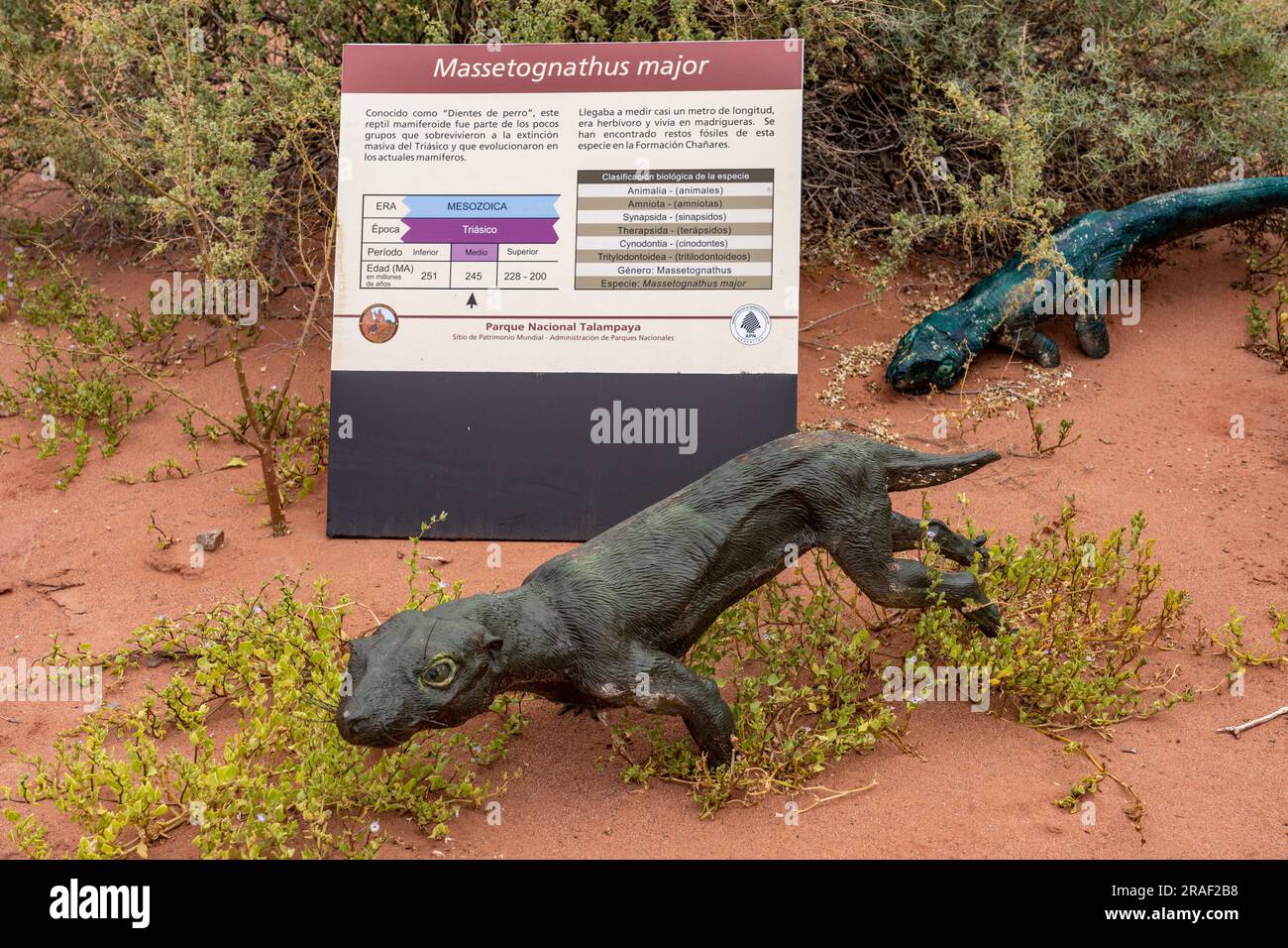 Mamiferos Triassicos Descoberta Nova Espécie De Réptil Que Viveu No