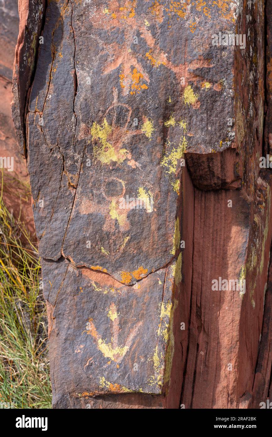 Pre-Hispanic indigenous rock carvings or petroglyphs in Talampaya ...