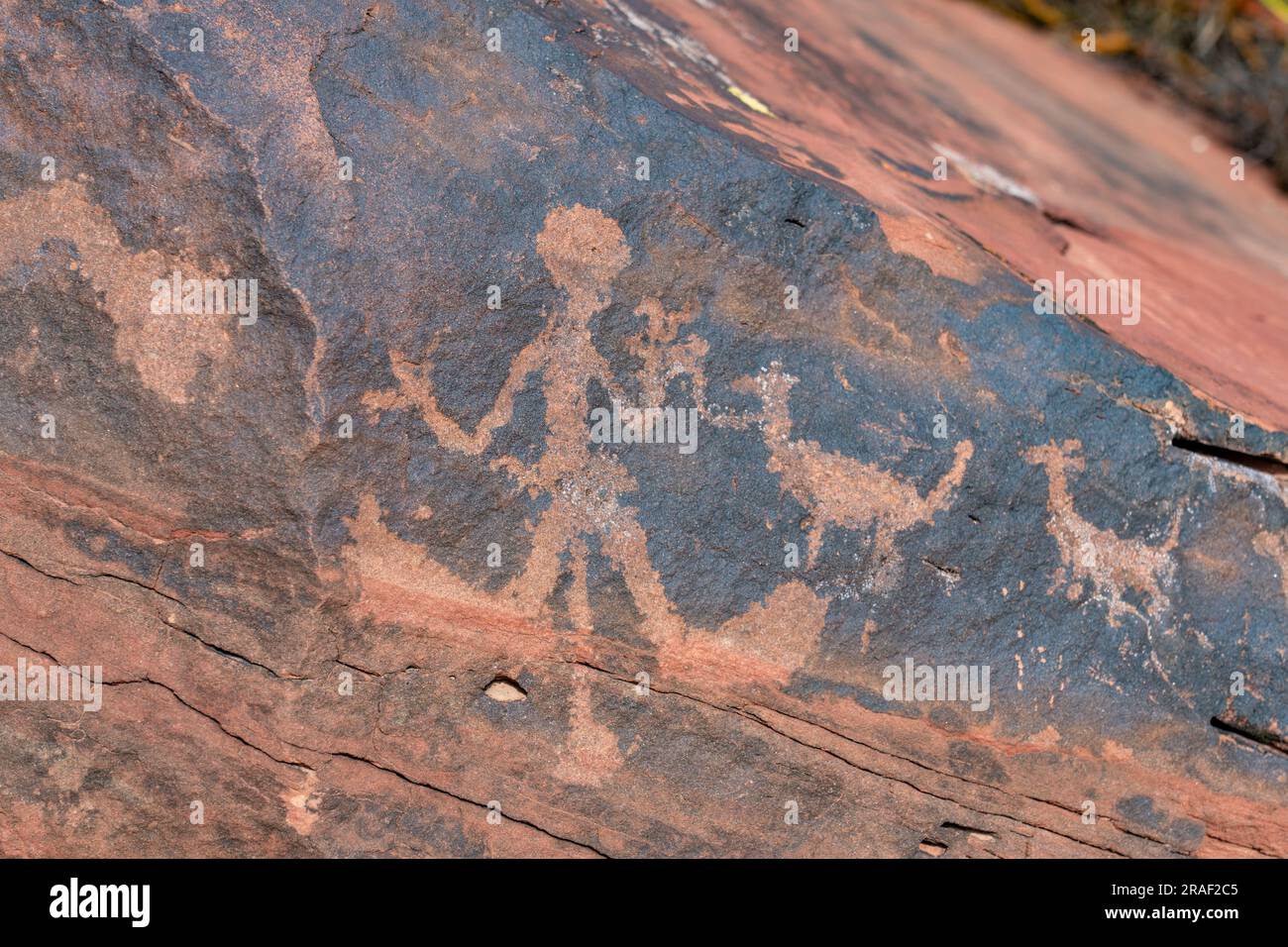 Pre-Hispanic indigenous rock carvings or petroglyphs in Talampaya ...