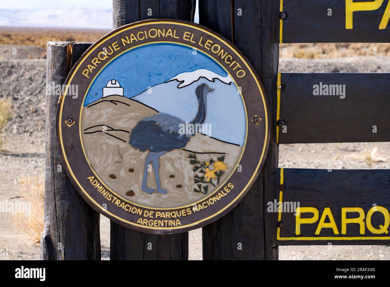 Aka darwins rhea hi-res stock photography and images - Alamy