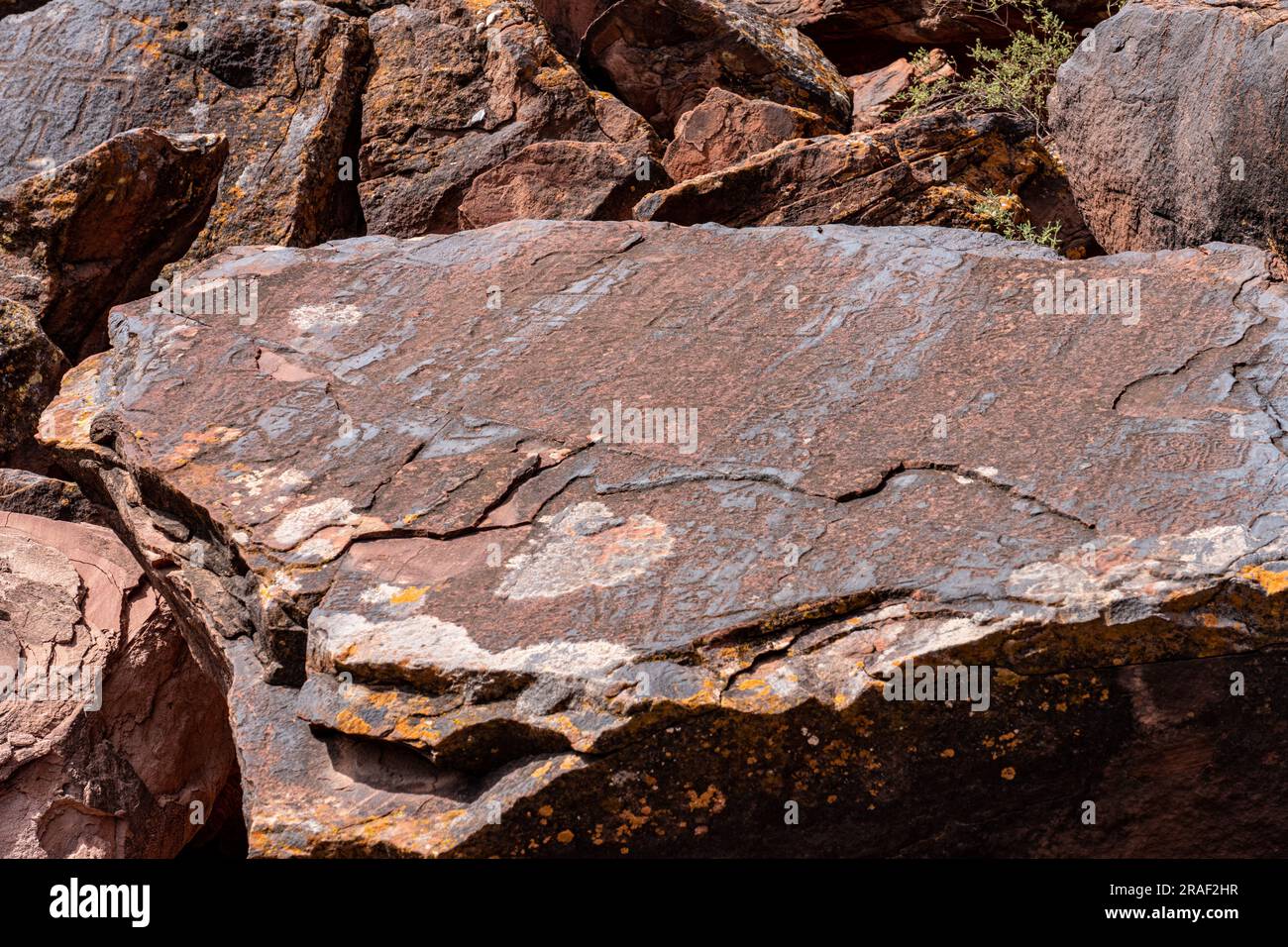 Pre-Hispanic indigenous rock carvings or petroglyphs in Talampaya ...