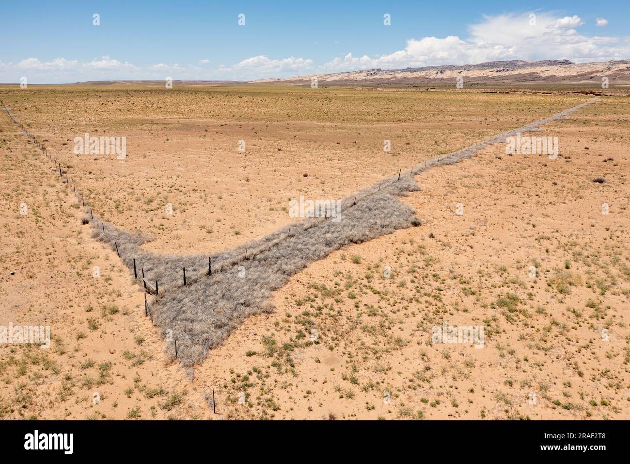 Dead tumbleweeds, Russian Thistle, trapped against a ranch fence line ...