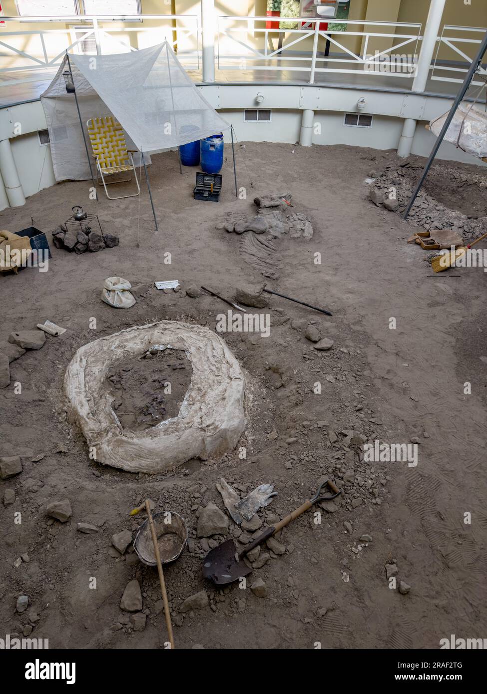 A reconstuction of a dinosaur dig camp in the William Sill Museum in ...