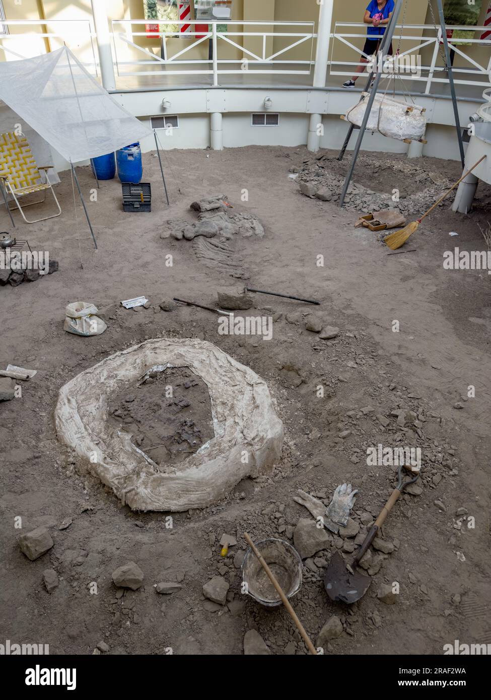 A reconstuction of a dinosaur dig camp in the William Sill Museum in ...