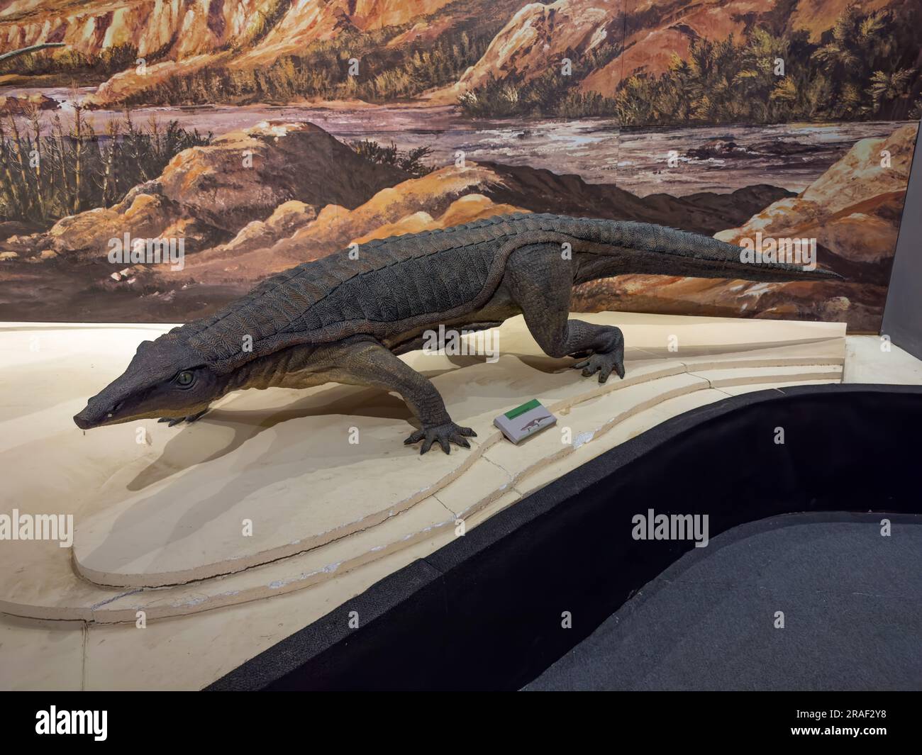 Model of an Aetosaurus scagliali, a dinosaur from the Triassic Period ...