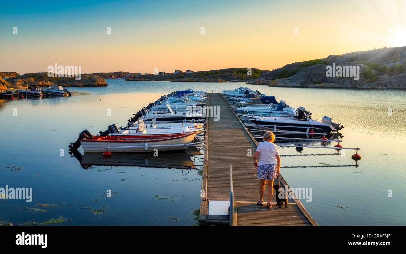 Woman taking an evening walk with her dog in a marina Stock Photo - Alamy