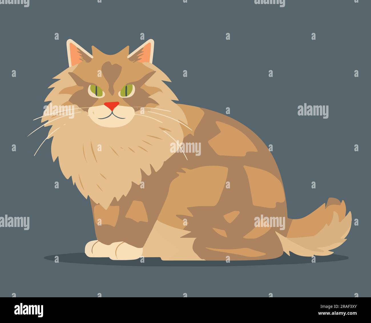 Burmese Cat Flat Vector Illustration Stock Vector Image And Art Alamy