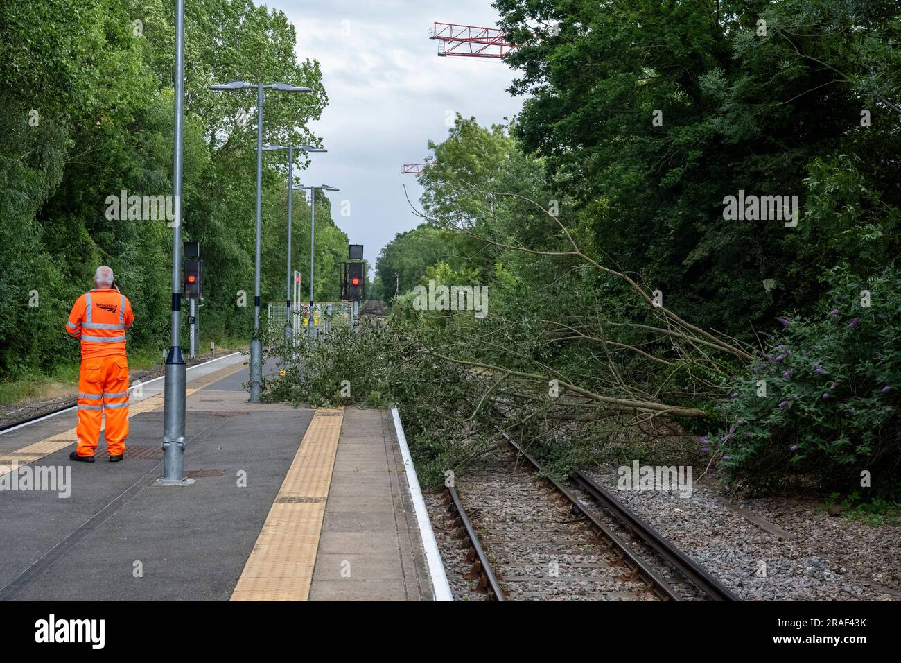 Fallen tree train uk hi-res stock photography and images - Alamy