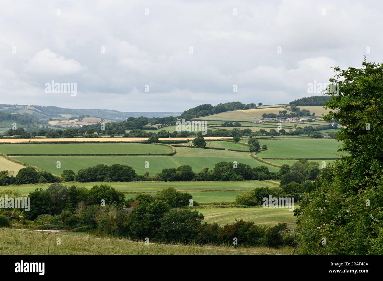 Colyton Town in the Coly Valley East Devon England uk Stock Photo - Alamy
