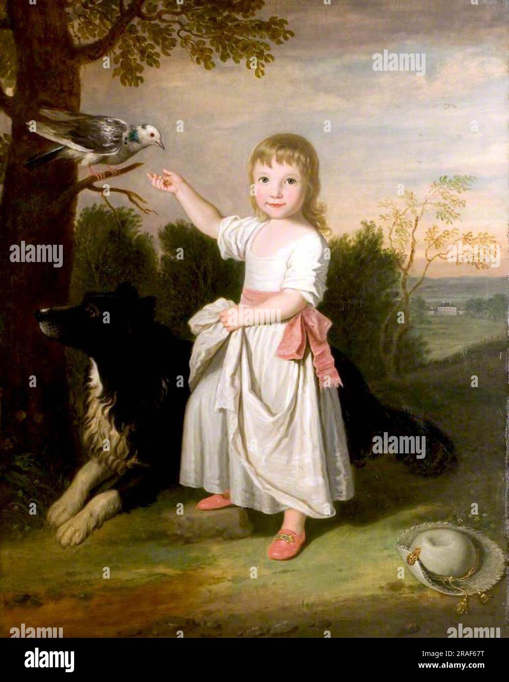 James Abercromby of Tullibody, Esq. 1779 by David Allan Stock Photo - Alamy