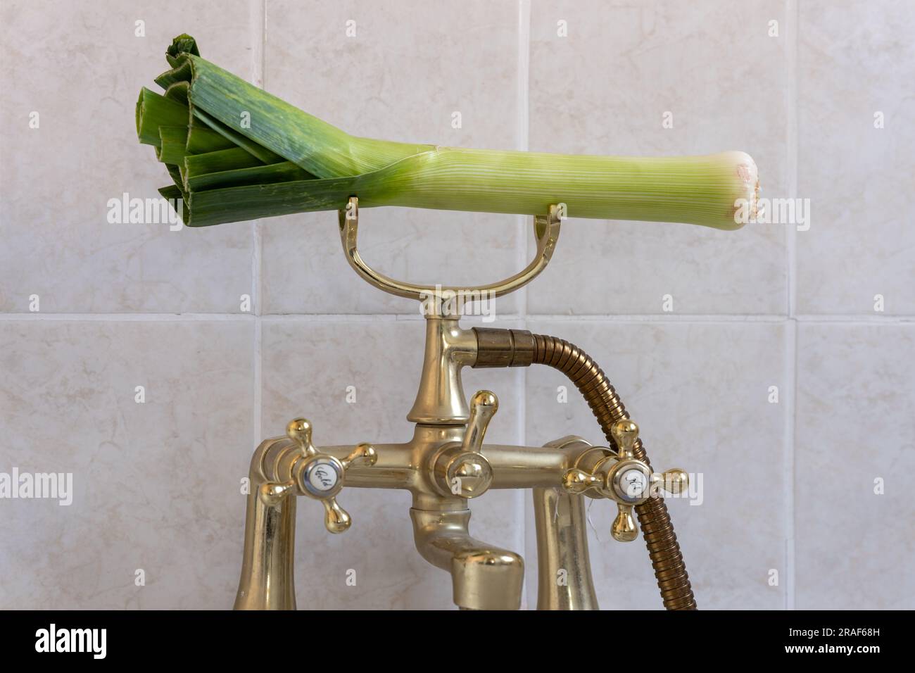 leak on a tap green vegetable leek sat on top of a bath tap concept of ...