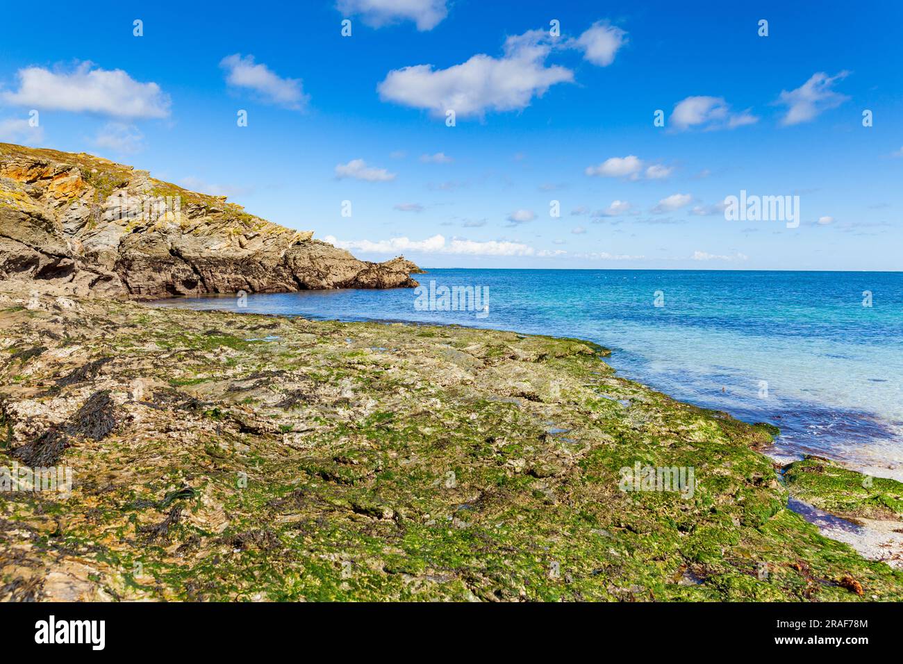 landscape beach rocks cliffs shores at Belle Ile en Mer at the point of ...