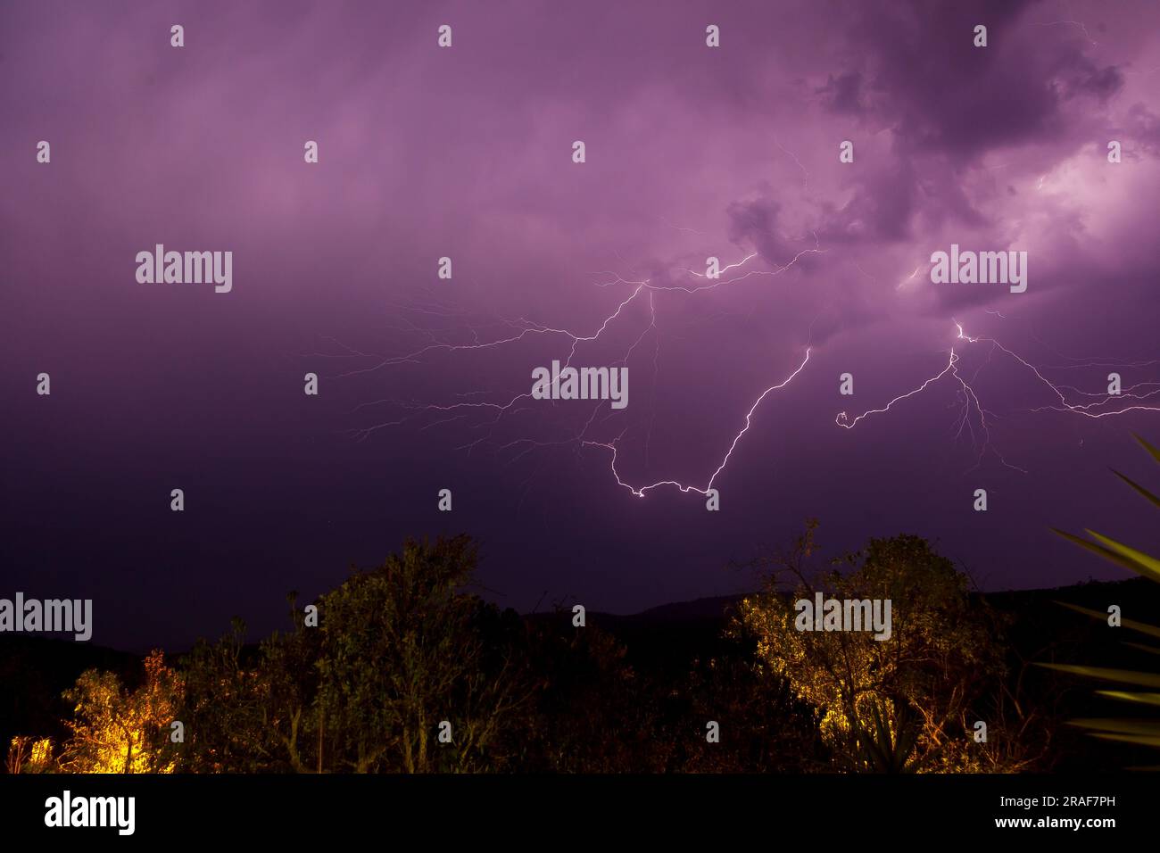 Photo of thunderstorm flashes in the night sky above Kruger National ...